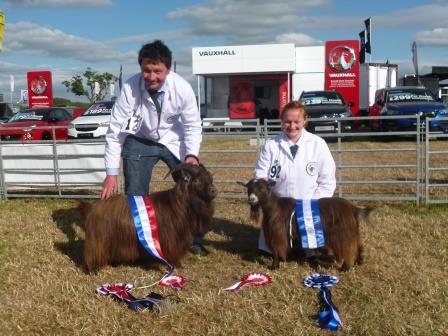 Pygmy Goat Club of GB